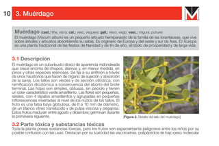 Manual de intoxicacion por plantas | PDF