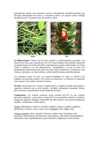 Manual de las Buenas Practicas Agricolas | DOC