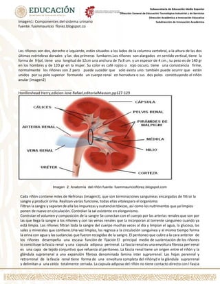 Manual del Estudiante_Laboratorista Cl ico_ M3-Sub3 (1).pdf
