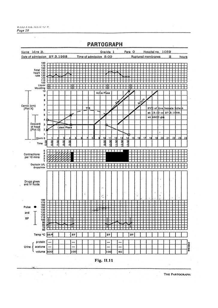 Manual del usuario partograma oms