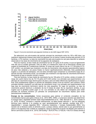 Manual de manejo de jaguares bajo cuidado humano aza | PDF