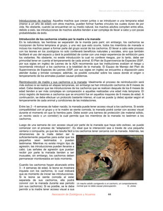 Manual de manejo de leones bajo cuidado humano aza | PDF