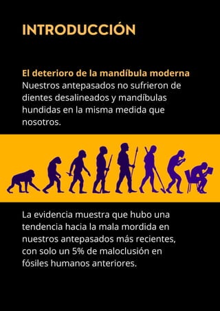 Manual de mejora facial gratis - Mrmandibulas.pdf