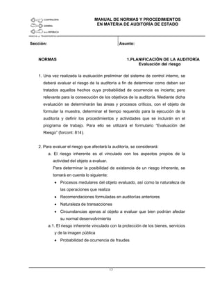 Manual de normas y procedimientos en materia de auditoría de estado | PDF