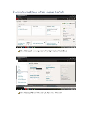 MANUAL DE ORACLE AUTONOMOUS DATABASE | PDF