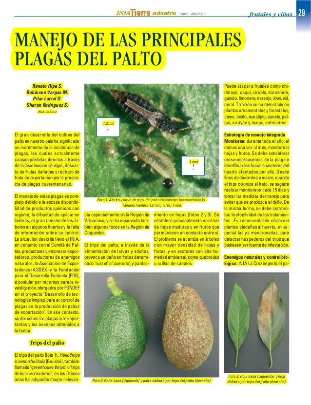 Manual de paltos
