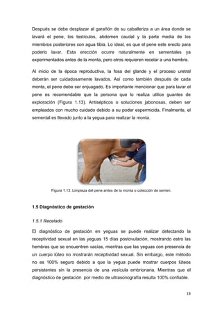 Manual de Practicas de Profundizacion en Reproduccion Animal Equinos.pdf