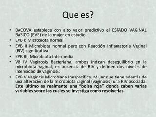 Manual de procedimiento bacova | PDF