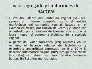 Manual de procedimiento bacova | PDF