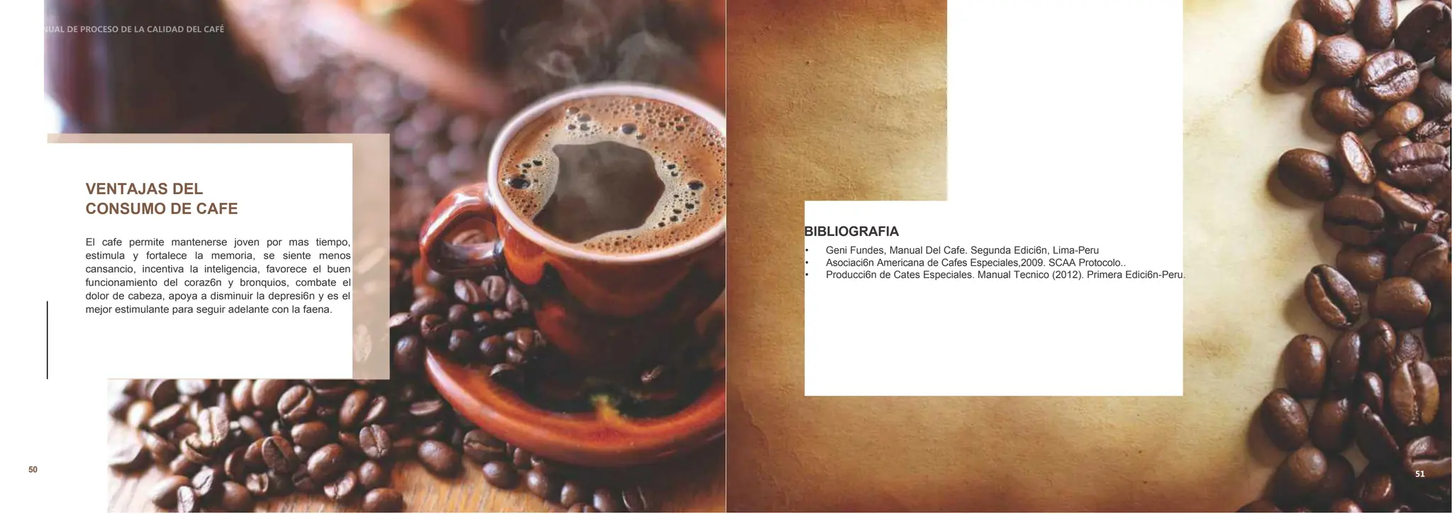 manual_de_proceso_de_la_calidad_del_cafe_selva_central_peru.docx