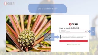 MANUAL DE REGISTRO SIGESAI.pdf