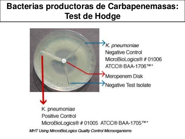 Manual de uso dirigido de antimicrobianos