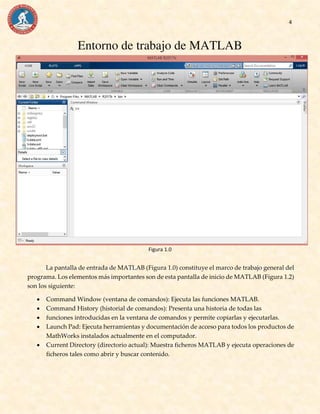 Manual de uso en MATLAB.pdf