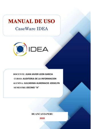 Manual de uso de Case Ware IDEA | DOCX
