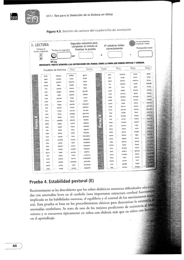 Manual dst j | PDF