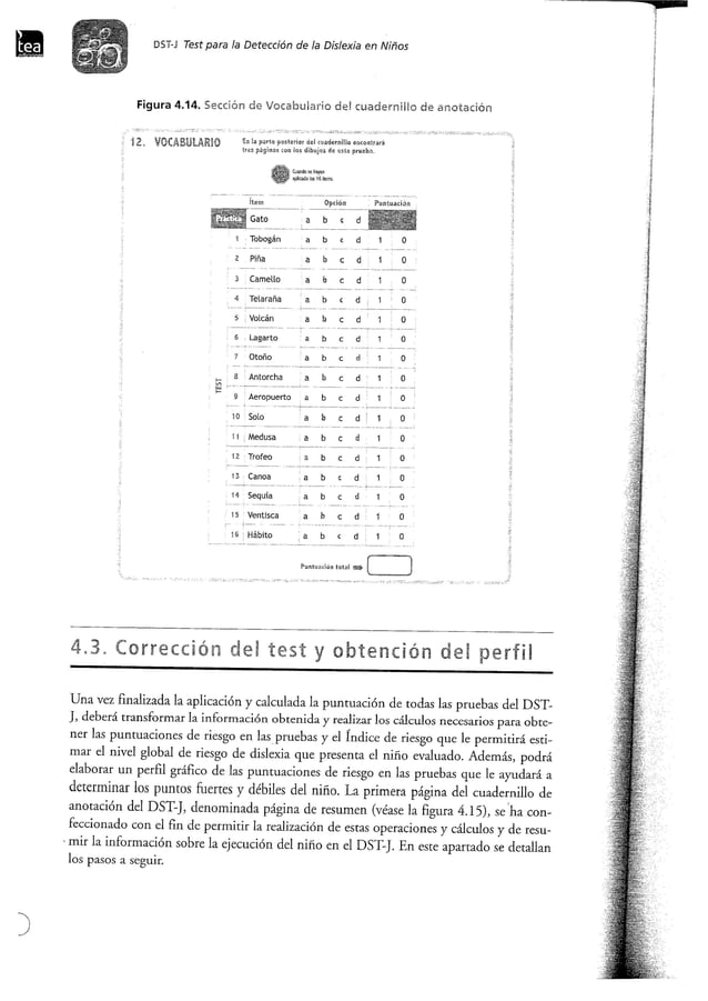 Manual dst j | PDF