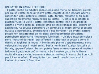 Manuale Del Gatto | PPT