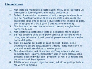 Manuale Del Gatto | PPT