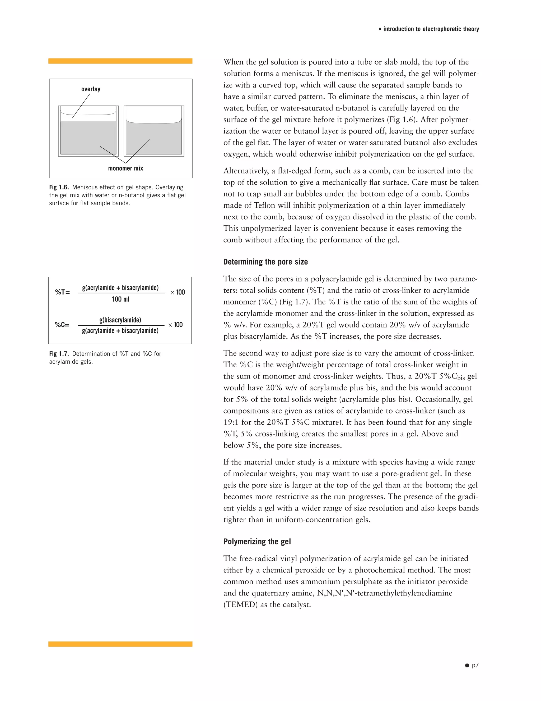 ICSA17 Imunologia - Manual eletroforese | PDF