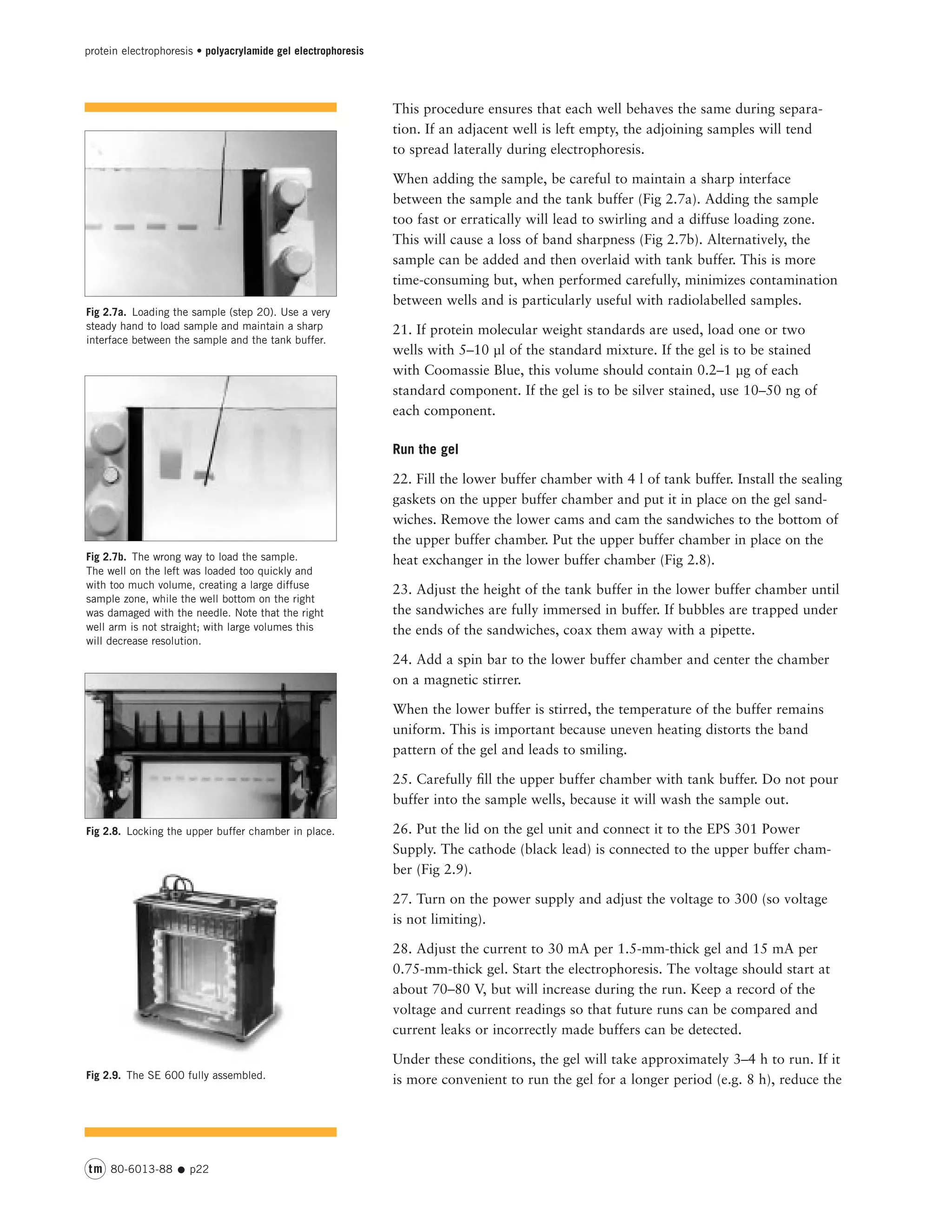 ICSA17 Imunologia - Manual eletroforese | PDF