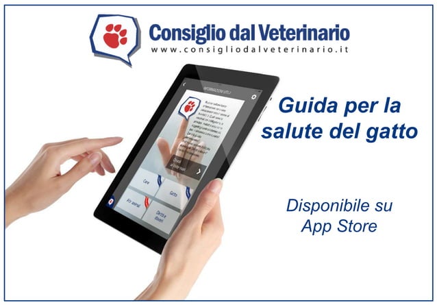 Guida per la salute del gatto | PPT