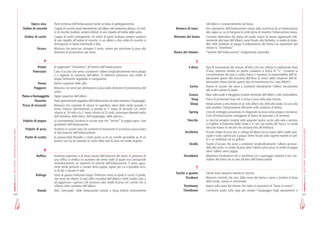 manuale vela.pdf