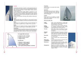 manuale vela.pdf