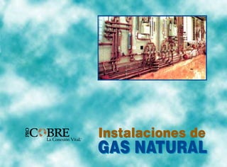 MANUAL_GAS_NATURAL.pdf