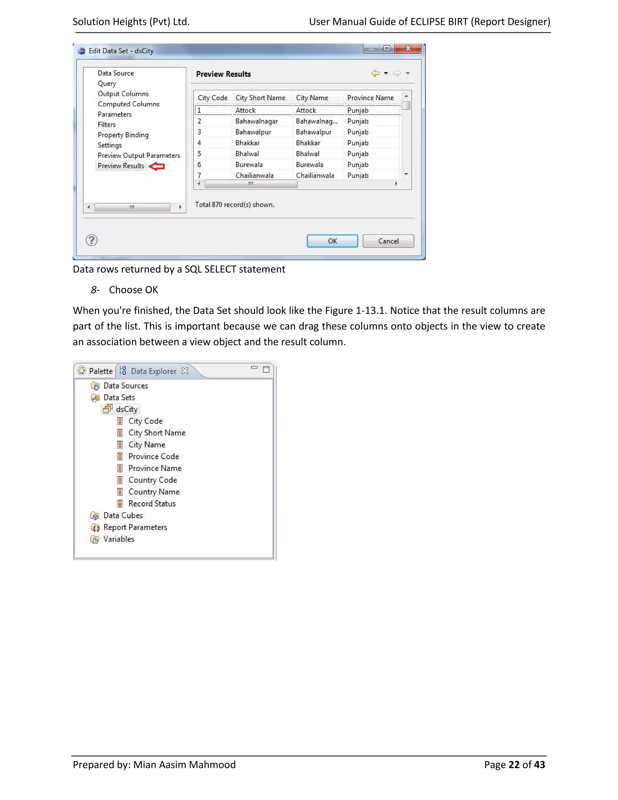 Manual & guide_for_birt_eclipse_report designer | PDF