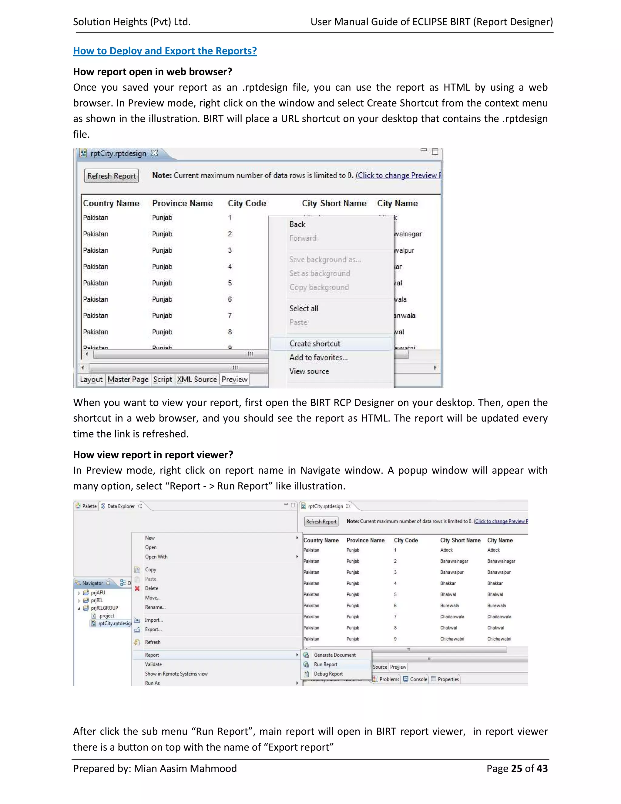 Manual & guide_for_birt_eclipse_report designer | PDF