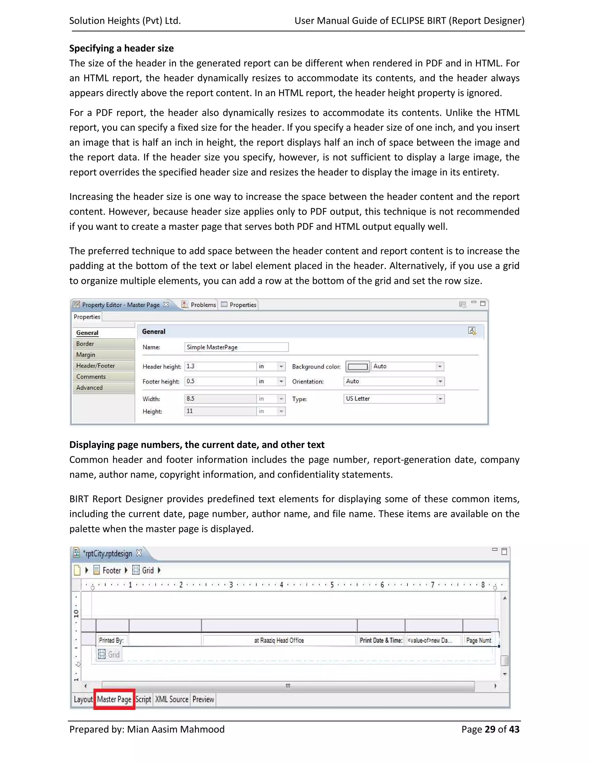 Manual & guide_for_birt_eclipse_report designer | PDF