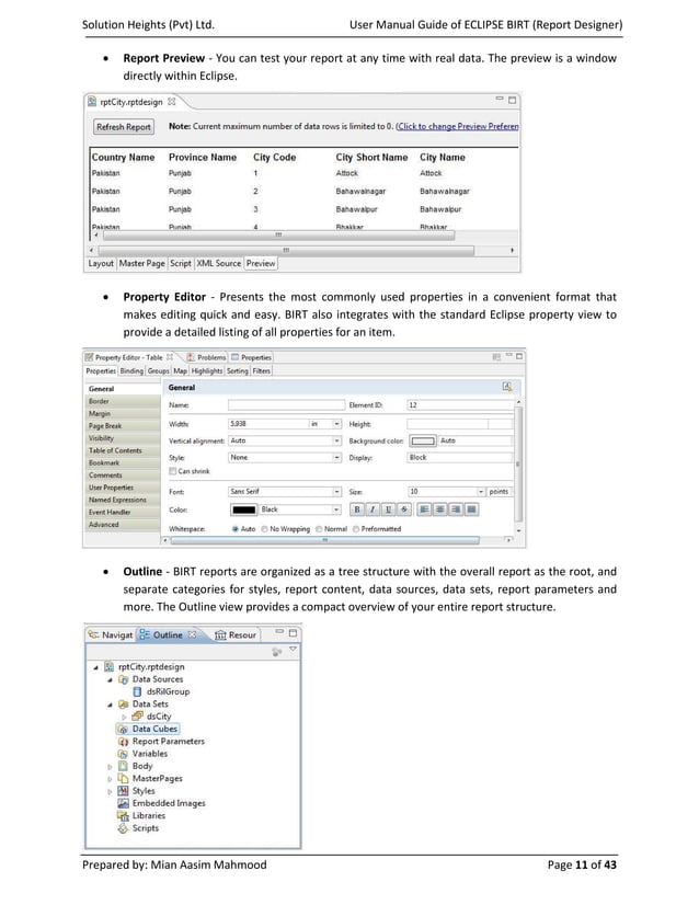 Manual & guide_for_birt_eclipse_report designer | PDF