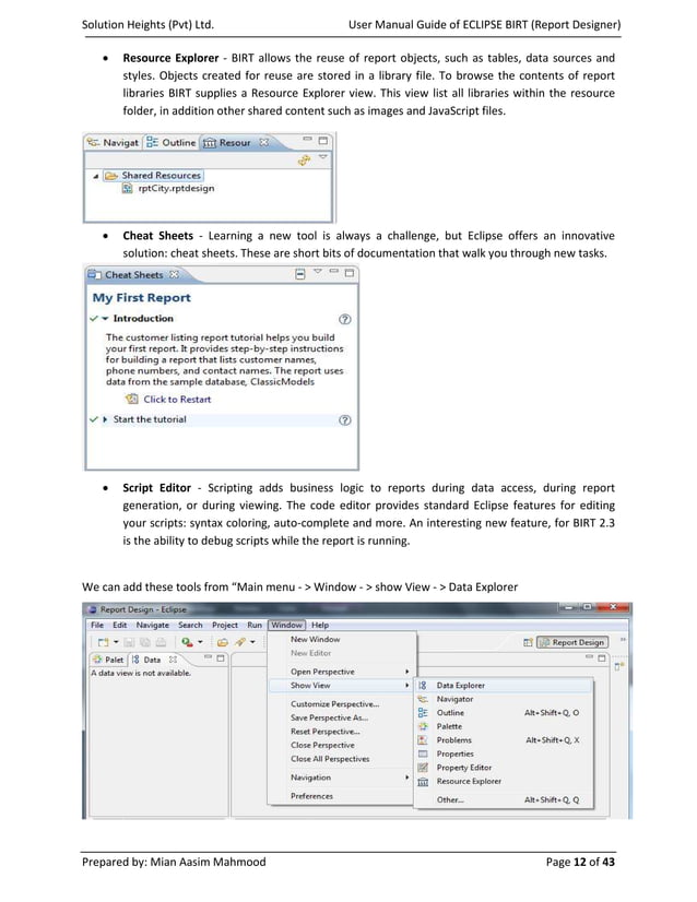 Manual & guide_for_birt_eclipse_report designer | PDF