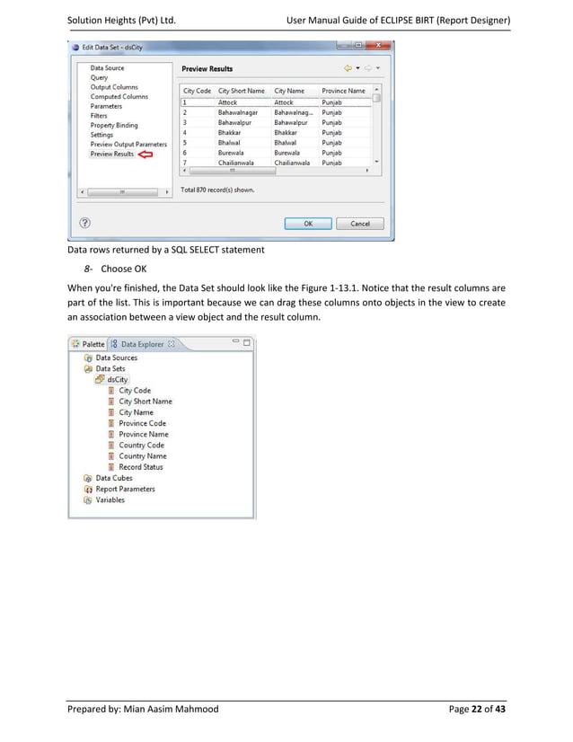 Manual & guide_for_birt_eclipse_report designer | PDF