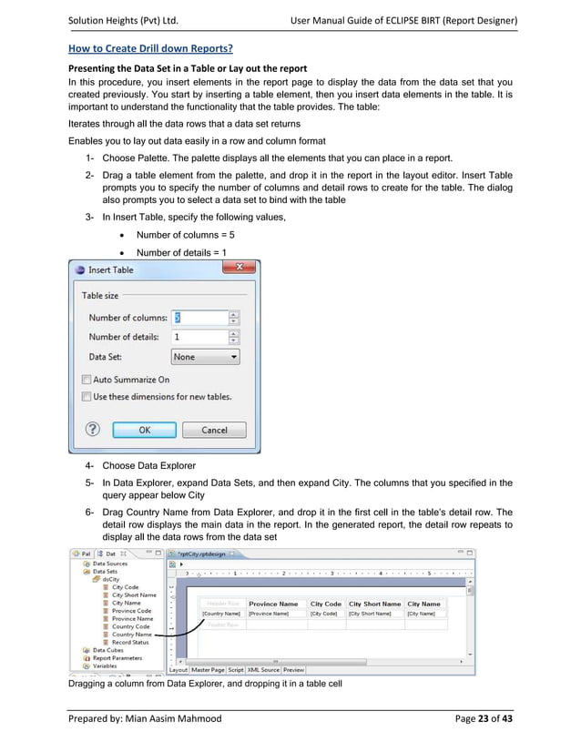 Manual & guide_for_birt_eclipse_report designer | PDF