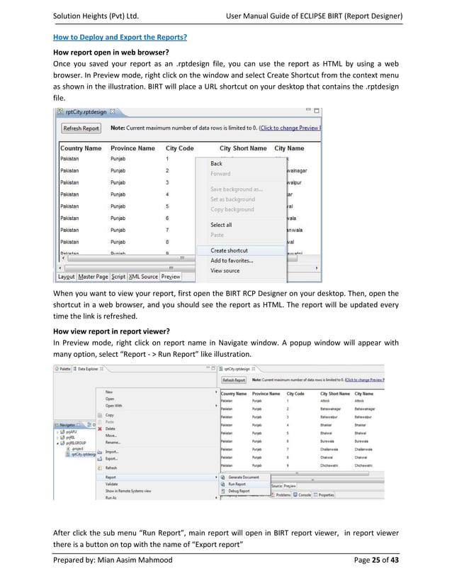 Manual & guide_for_birt_eclipse_report designer | PDF