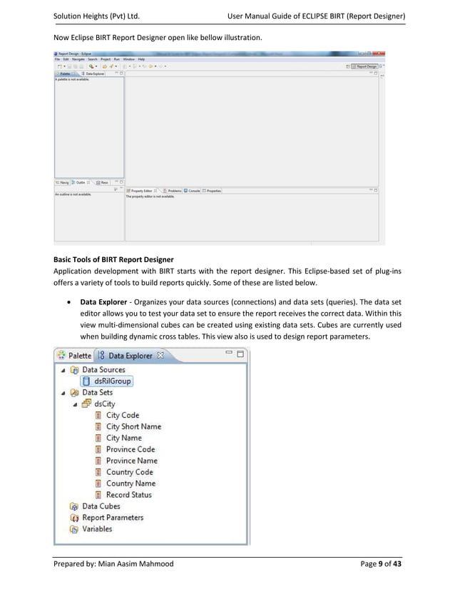 Manual & guide_for_birt_eclipse_report designer | PDF
