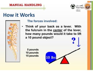 Manual _handling | PDF