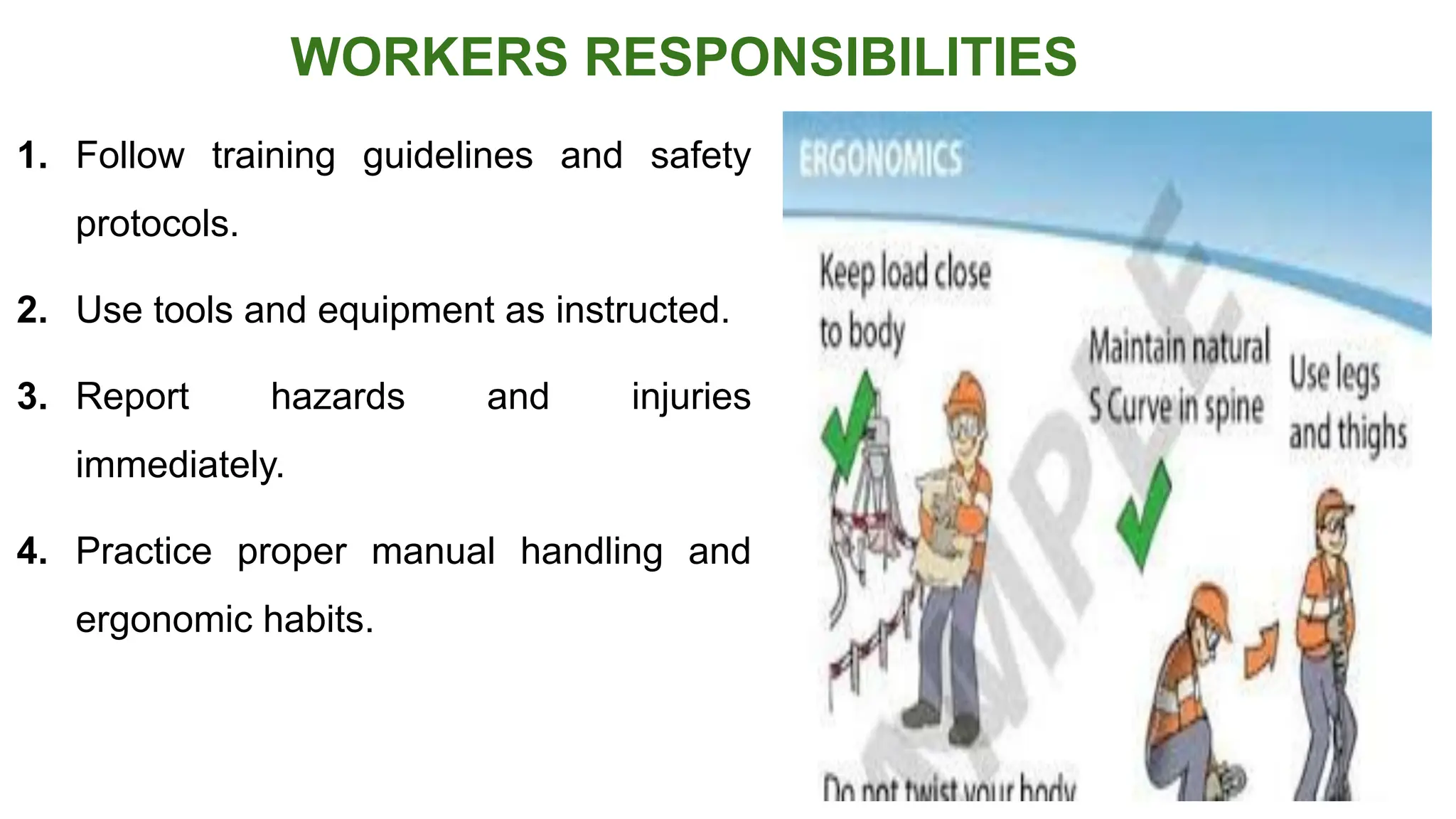 MANUAL HANDLING AND ERGONOMICS (29th November, 2024).pdf