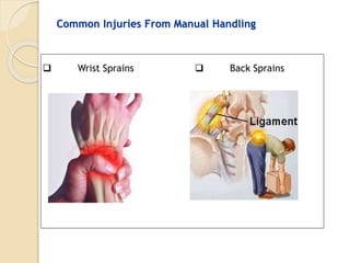 Manual handling hazard | PPTX