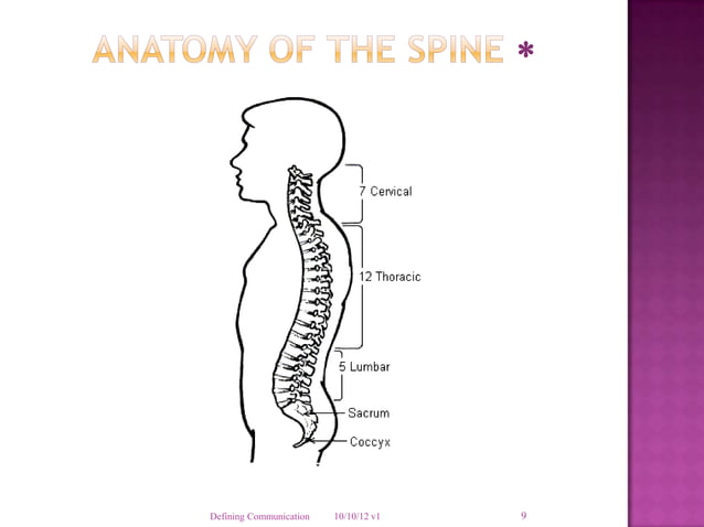 Manual Handling - Shift Materials Safely | PPTX