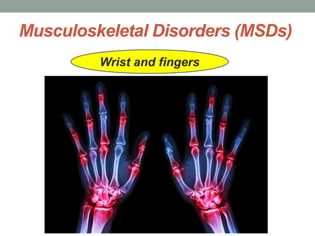 Manual Handling Safety Training | PPTX | Physical Therapy | Wellness