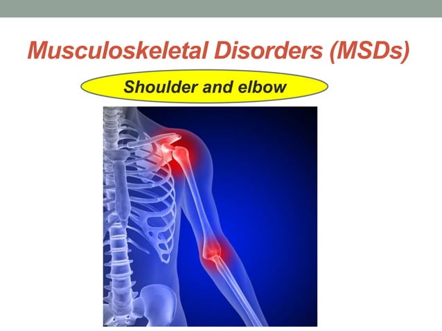 Manual Handling Safety Training | PPTX | Physical Therapy | Wellness