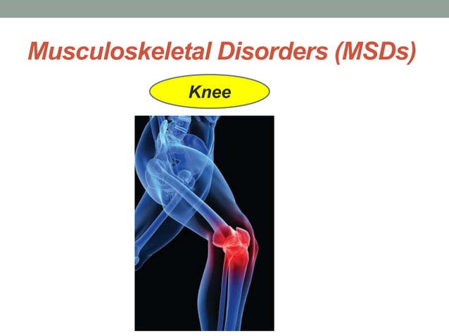 Manual Handling Safety Training | PPTX | Physical Therapy | Wellness