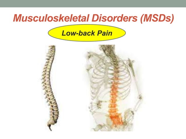 Manual Handling Safety Training | PPTX | Physical Therapy | Wellness