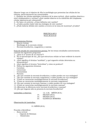 Manual Histopatologia | PDF