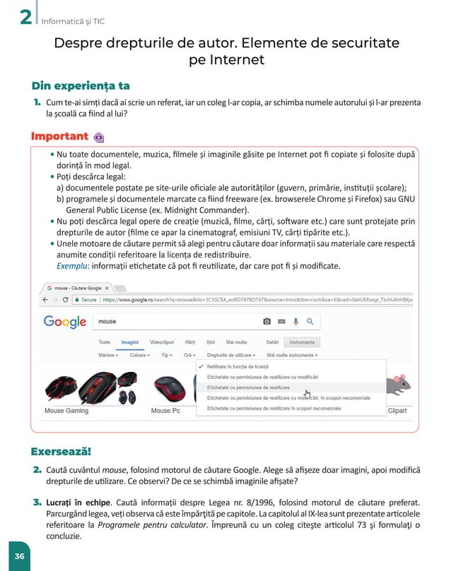 Manuall informatica si compente digitale | PDF