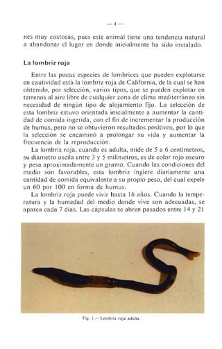 Manual lombriz californiana | PDF