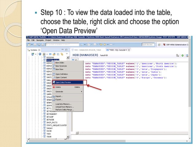 SAP HANA - Manually to insert_data_table | PPT