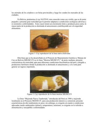 Manual manejo cuyes-1 | PDF